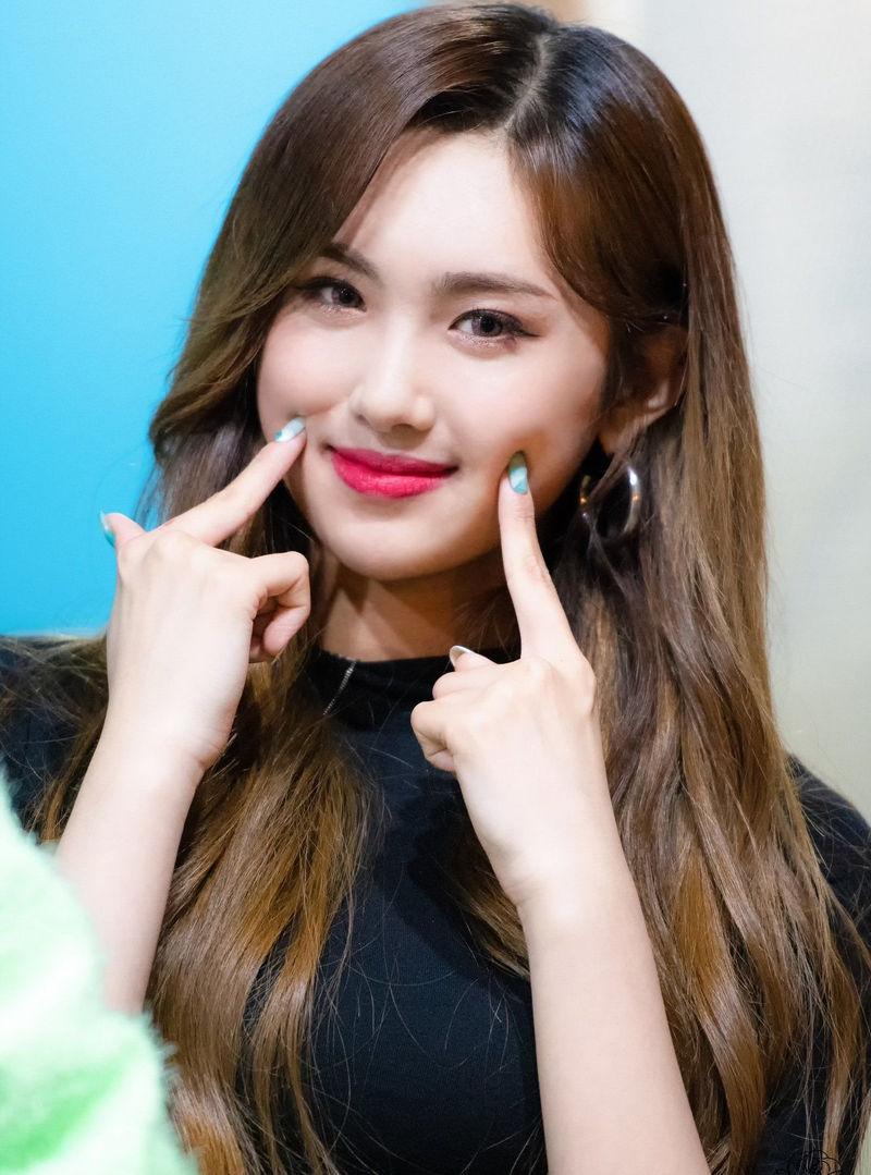 Profile Chi Tiết Everglow - Những Tân Binh Khủng Long 2021