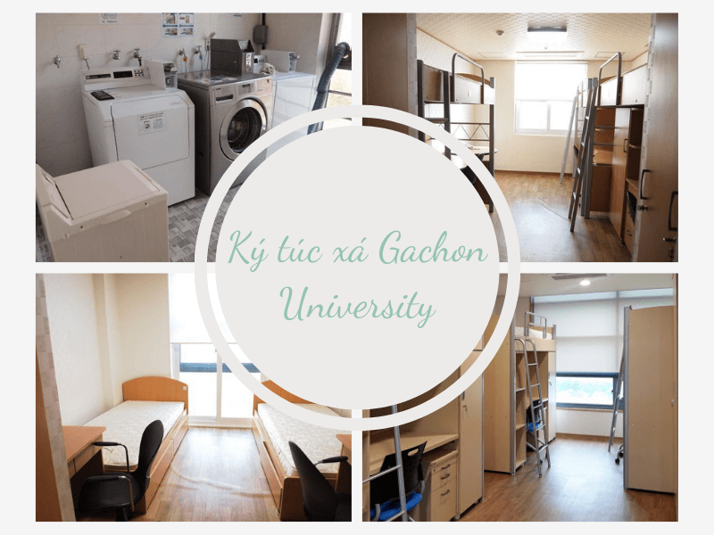 Gachon University - TOP Trường Đại Học Đào Tạo Về Y Tế